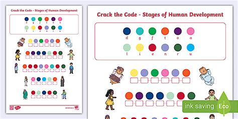 Crack The Code Stages Of Human Development Teacher Made