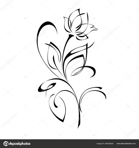 Stylized Flower Stem Leaves Curls Black Lines White Background Stock