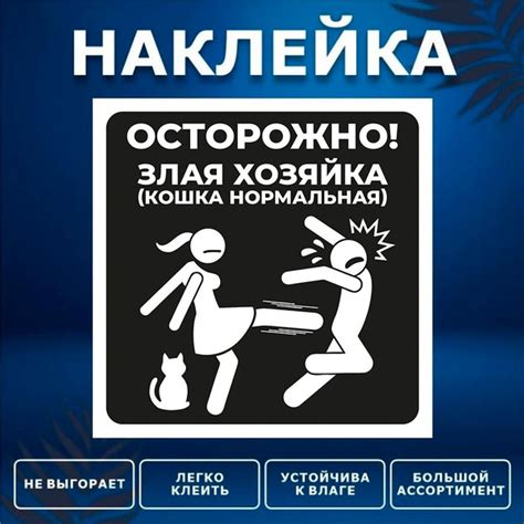 Наклейка, ИНФОМАГ, Осторожно! Злая хозяйка, 15см х 15 см, на дверь, на ...