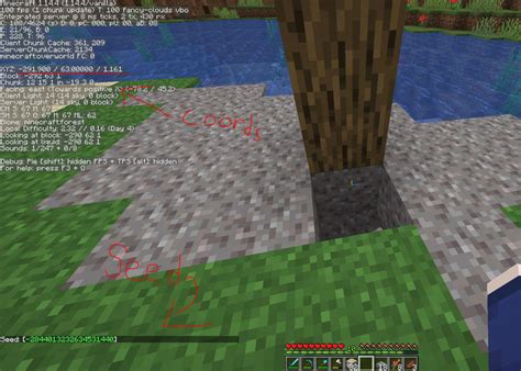 Tree Naturally Spawning On Gravel W Seed R Minecraft