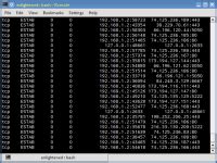 Examples Of Linux Ss Command To Monitor Network Connections BinaryTides