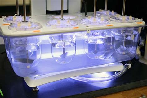 Dissolution Bath 300x New Materials Institute