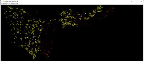 Macro Results Vary When Calling It Via Pyimagej Usage Issues