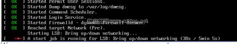 Centos启动出现failed To Start Lsb Bring Updown Networking的解决方法 赵容部落