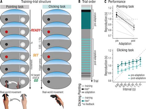 Experiment 1 Task Independency Of Temporal Sensorimotor Adaptation