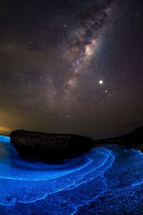 Okyanus Fotoğrafları Yarışmasında finalistler belli oldu Nar Sanat