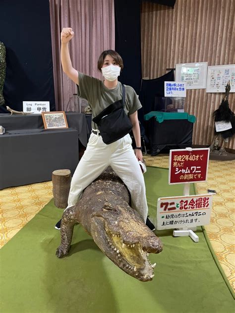 🦑かに汁🦀ラグコス On Twitter Rt Kai100kg アイコンと中の人の写真貼るとrtといいねブワアアァって伸びるらしい