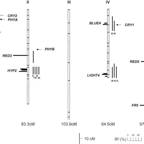 Qtl Map For Light Response In Col Gl1 Kas 1 Recombinant Inbred Lines