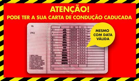 Carta De Conducao D