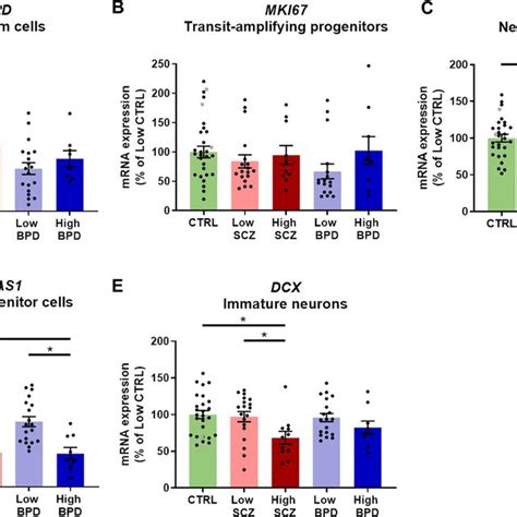 Neurogenesis Marker Gene Expression Was Predominantly Altered In The
