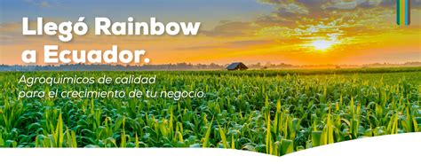 Rainbow Ecuador