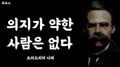 니체가 말하는 쇼펜하우어와 삶의 지혜ㅣ세상을 어떻게 이해할 것인가 Youtube