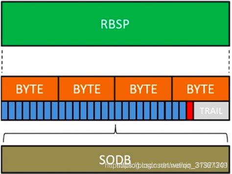 图像编码介绍 Csdn博客