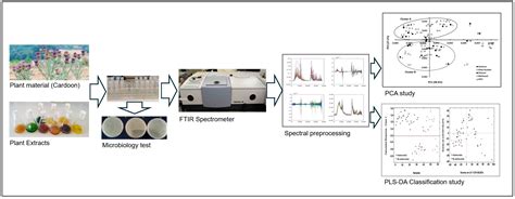 Enhancing Bioactive Compound Classification Through The Synergy Of Fourier Transform Infrared
