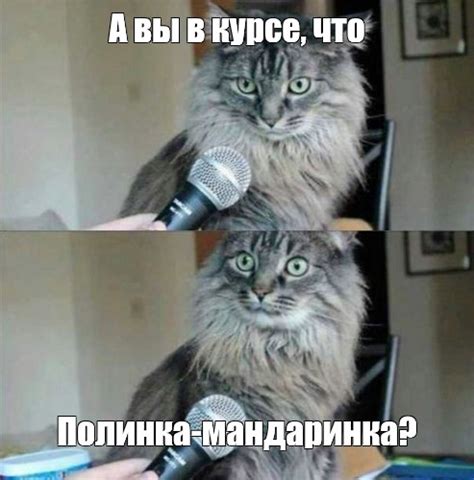 Создать мем вы в курсе Картинки Meme