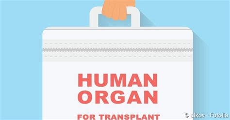 Organspende Alles über Lebendspende und Spende nach dem Tod NetDoktor de