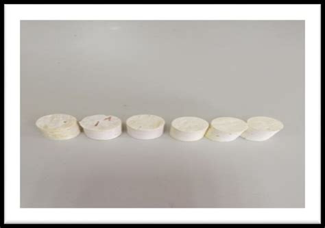 The Sample Prepared For The Compressive Strength Test Download Scientific Diagram