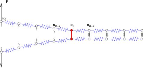 1 A Schematic Of The Lattice Model The Springs Indicate Linear