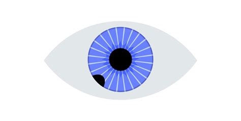 Premium Vector Iris Melanoma Anatomy