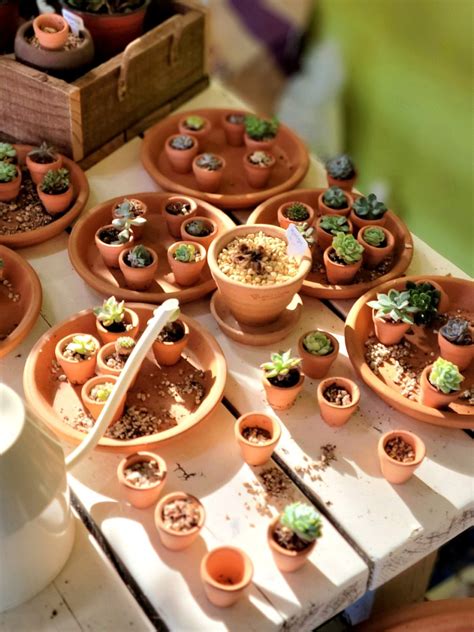 카페소품으로 식물화분 가득한 가든카페 네이버 블로그