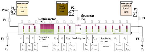 A Multi Branch Deep Feature Fusion Network With Sae For Rare Earth
