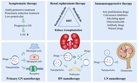 Journal Of Nanobiotechnology Medsci Cn