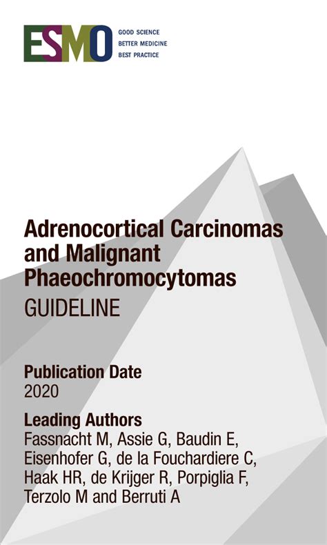 Esmo Interactive Guidelines