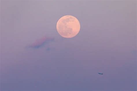 신기함 오늘 인천에 나타난 블러드 문 유머움짤이슈 에펨코리아