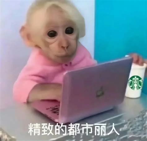 新的开始