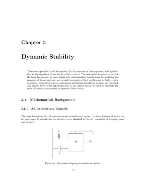 Dynamic Stability Pdf