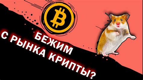 Обвал криптовалют опять Прогноз биткоина и других криптовалют