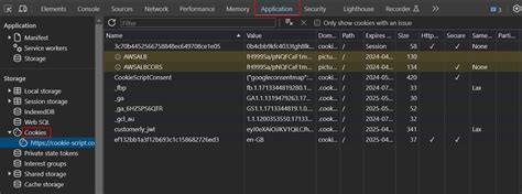 How To View Cookies In A Web Browser Manually