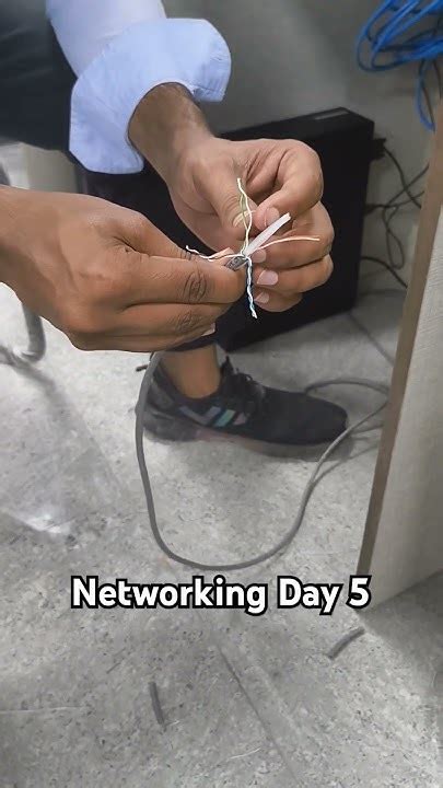 Networking Day 5 Itsector Computerknowledge Computerlab India Youtube