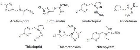 Neonicotinoids Pesticides and Metabolites