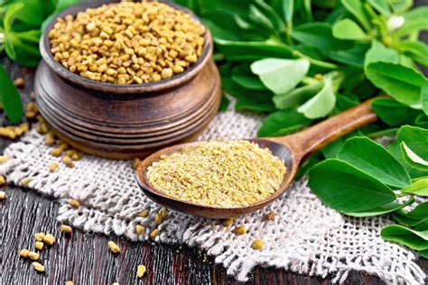 Senovka Grécka Fenugreek Aké Sú Jej účinky Na Zdravie Libido