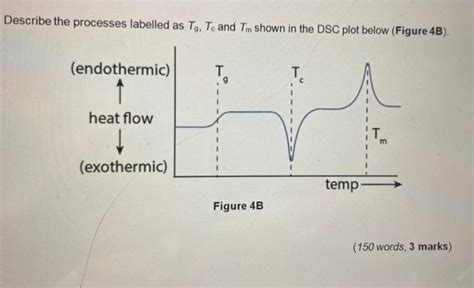 Solved Describe The Processes Labelled As T T And Tm
