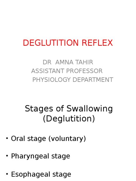 Deglutition Reflex Lecture Pdf Esophagus Human Head And Neck