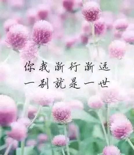 心情不好的時候發的句子，句句傷感，哪一句讓你感同身受 每日頭條
