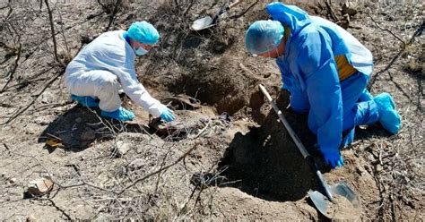 Encontraron seis cuerpos en un predio agrícola de Villamar Michoacán Infobae