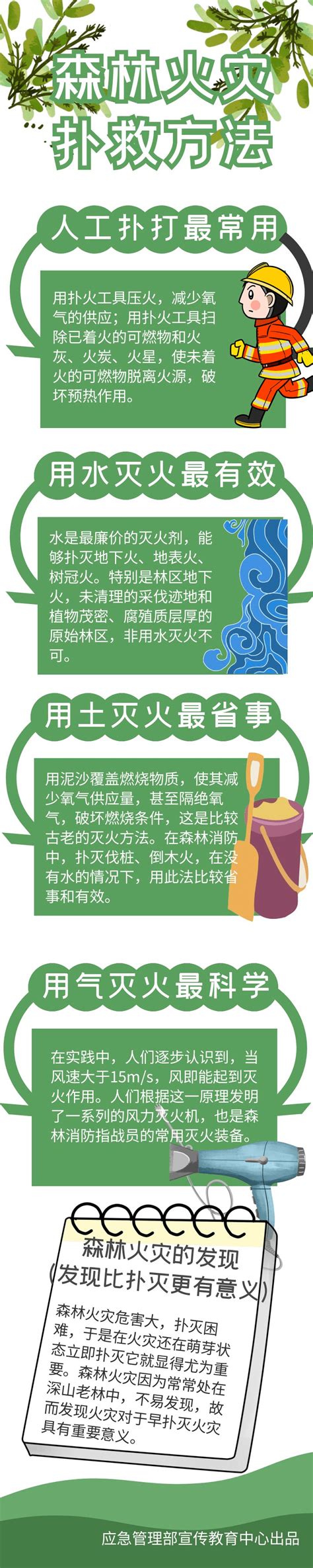 【森林防火】应急科普｜森林火灾扑救方法管理信息来源
