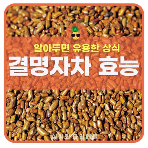 결명자차 물 대신 먹어도 될까 결명자차 효능 및 부작용 끓이기 네이버 블로그