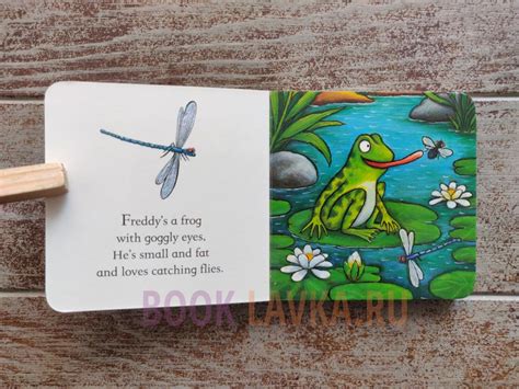 Axel Scheffler Pocket Library купить в интернет магазине Booklavka