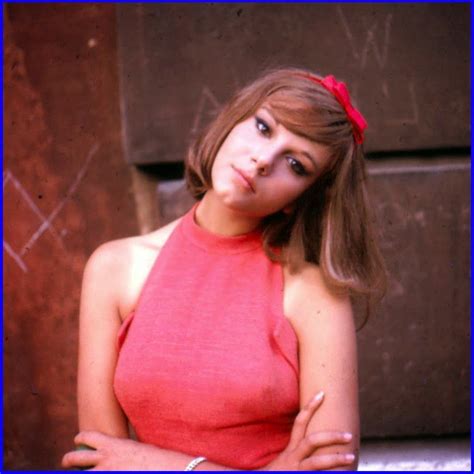 Stefania Sandrelli Italian Actress Vintage Movie Stars Actresses