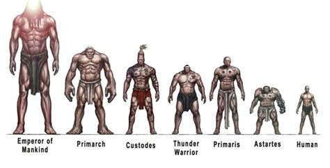 Emperor Of Primarch Custodes Thunder Primaris Astartes Human Mankind Warrior Ifunny