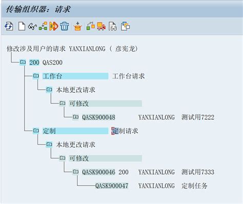 Sap系统中请求号的传输与管理指南 Csdn博客
