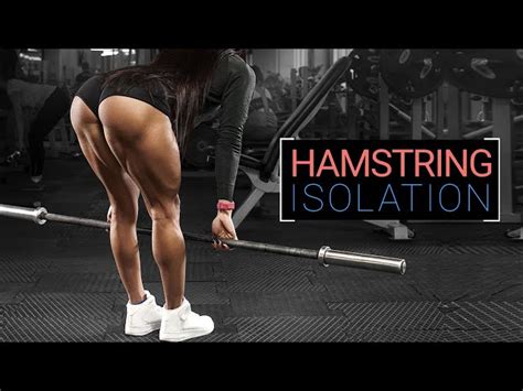 Muscular Hamstrings