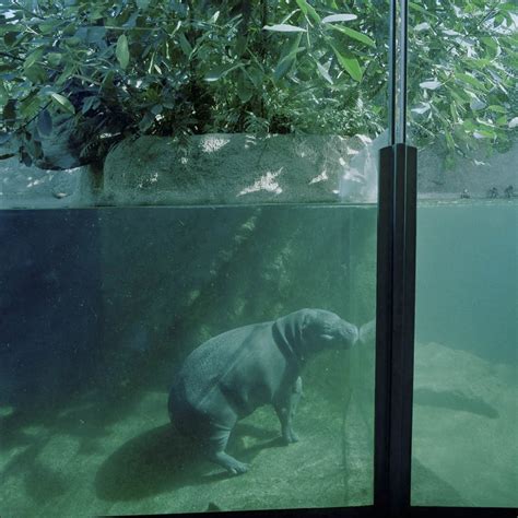 Lucinda Devlin Frames Of Reference At The Photographische Sammlung