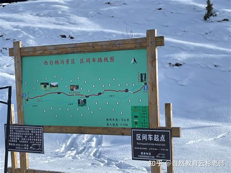 新疆冬季南山牧场林海雪原亲子徒步 知乎