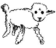 Dessine Moi Un Mouton