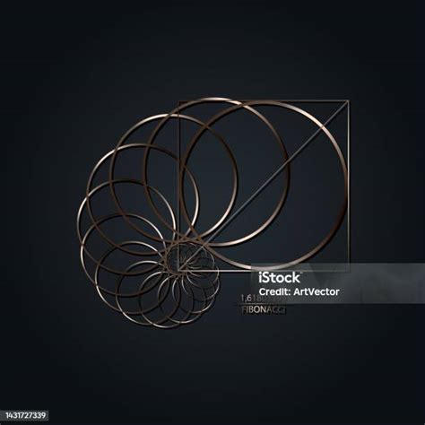 Fibonacci Sequence Circle Golden Ratio Geometric Shapes Spiral Snail Spiral Sea Shell Of